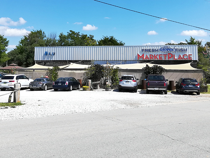 The unassuming exterior of Blu Fish House belies the seafood treasures within. Like finding Atlantis behind a storage unit, this place redefines "hidden gem."