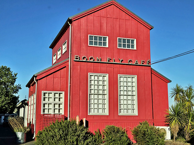 Red alert! This barn-turned-bistro is serving up comfort food that'll make your taste buds do a happy dance. Welcome to Boon Fly Cafe, where rustic charm meets culinary magic. 