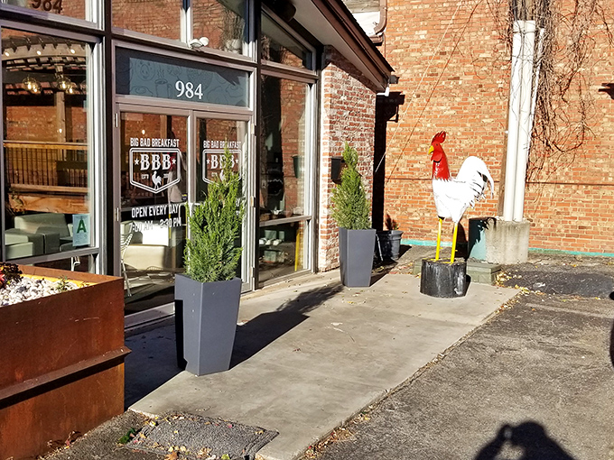 The rooster stands guard outside BBB like a breakfast bouncer, promising only the worthy shall pass into pancake paradise.