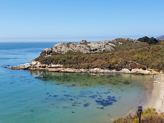 Nature's perfect viewpoint! The trail reveals Pirate's Cove below, where that impossibly blue water meets golden sand in a California dream come true.