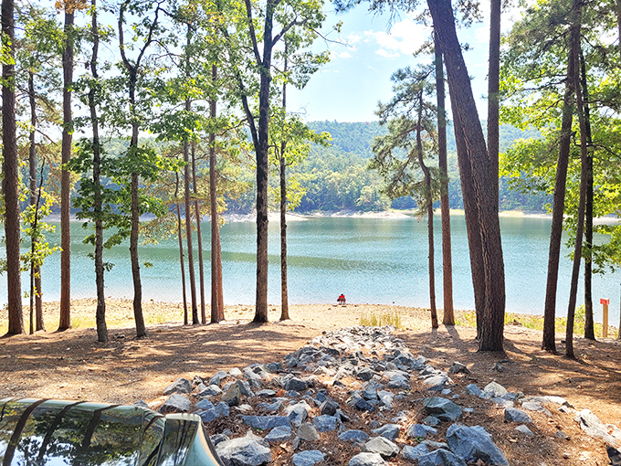 Nature's perfect frame! Tall pines stand sentinel around crystal-clear waters, offering a glimpse of what paradise must look like on a sunny Arkansas afternoon.