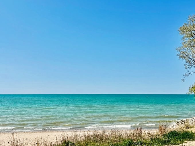 The Caribbean called—it wants its colors back. That impossible shade of turquoise makes you double-check your GPS to confirm you're still in the Midwest.