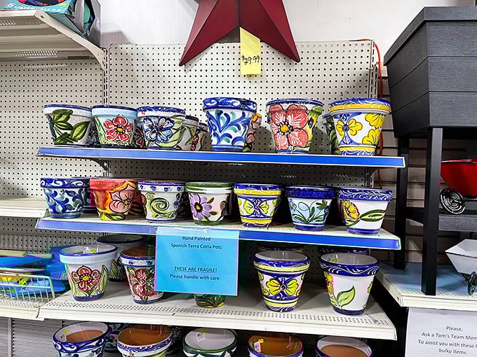 Hand-painted pottery that brings Mediterranean sunshine to New England homes – each piece a tiny vacation for your houseplants.