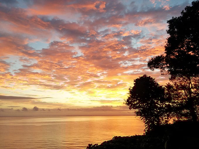 Nature's light show outperforms Vegas every single evening. This Chesapeake sunset paints the sky in colors no artist could mix.