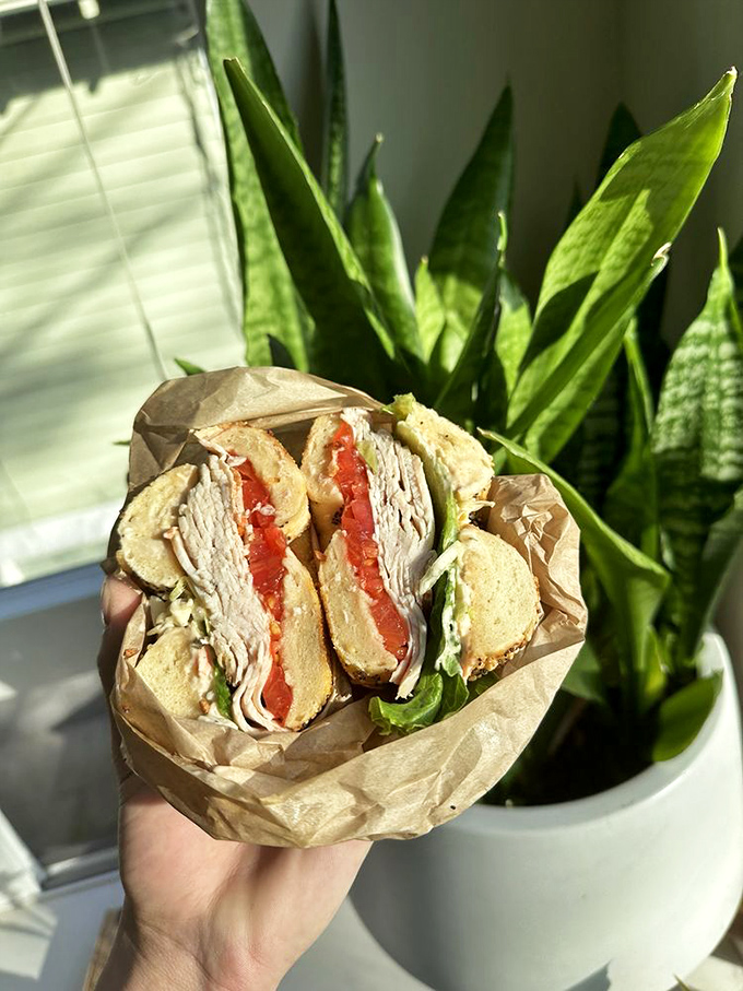 Sunlight streaming through leaves creates the perfect backdrop for this handheld masterpiece—a reminder that good food always looks better in natural light.