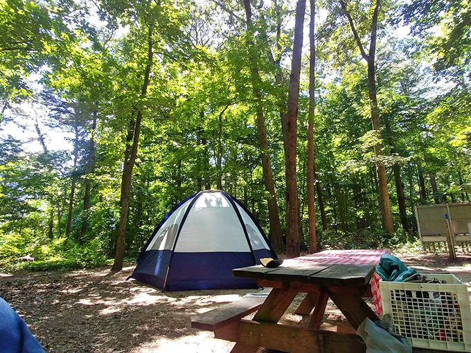 Camping perfection: A shady spot, picnic table for morning coffee, and trees tall enough to block cell service.
