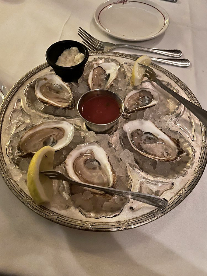 Oysters on ice—nature's perfect appetizer, requiring nothing more than a squeeze of lemon and a moment of gratitude.