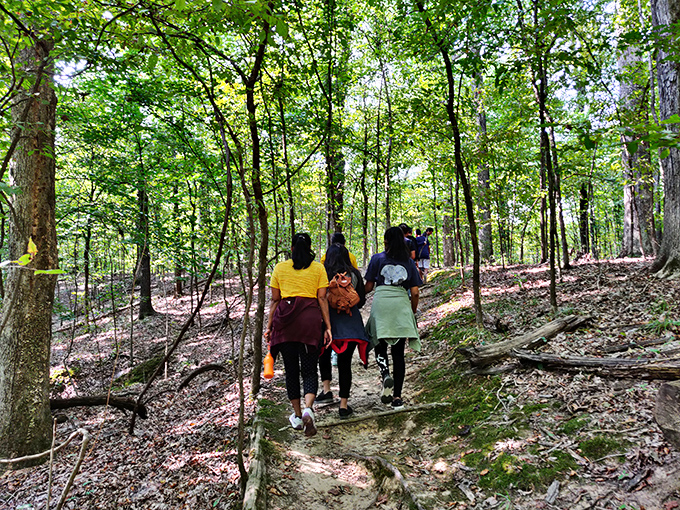 The best souvenirs are memories made on forest trails, where conversations deepen with every step into the woods.