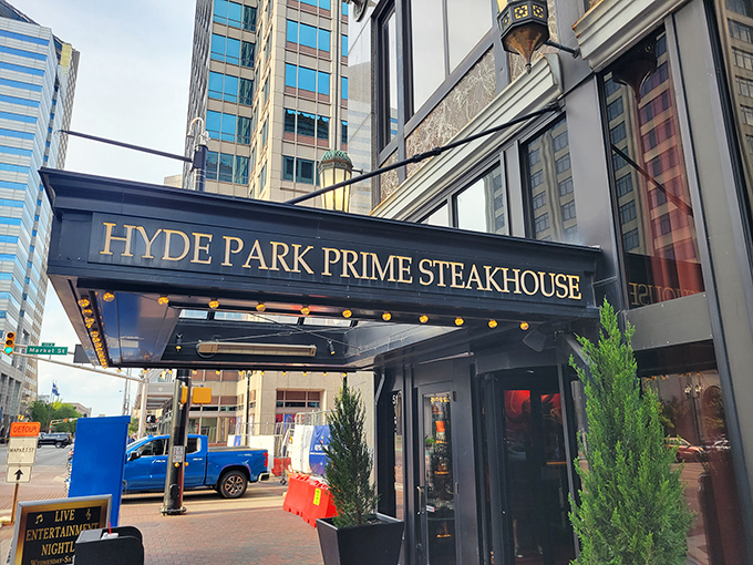 Urban elegance meets primal satisfaction at this downtown gem. Because sometimes you need to feel civilized while devouring a perfect ribeye.