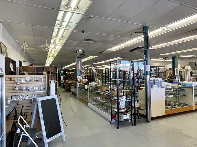 Where treasures are displayed with the respect they deserve. Museum-quality presentation without the "no touching" signs.