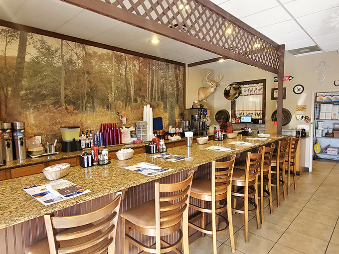 The counter seating area features a woodland mural that brings the outdoors in. Perfect for solo diners who appreciate both nature and gravy.