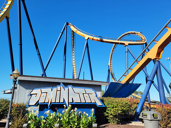 Dominator's sleek blue track promises a smooth ride, right before it flips you upside down more times than a political debate.