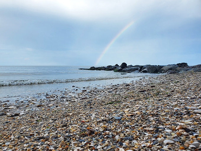 Mother Nature's apology for rain—a rainbow arches over Matoaka's rocky shore, turning ordinary beach stones into treasure.