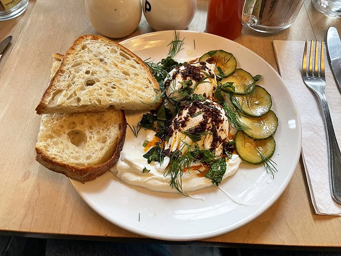 A plate that whispers "sophisticated brunch" with its artful arrangement of sourdough, yogurt, and herbs—comfort food dressed for a gallery opening.
