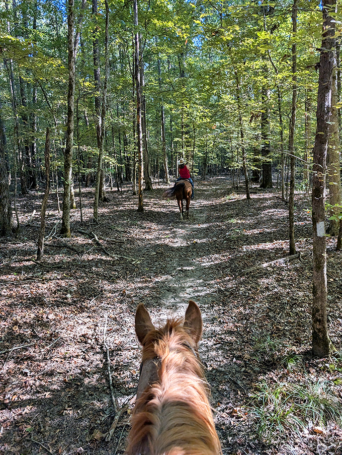 Horseback riding through dappled sunlight – when "getting back to nature" meets "living your best cowboy fantasy."