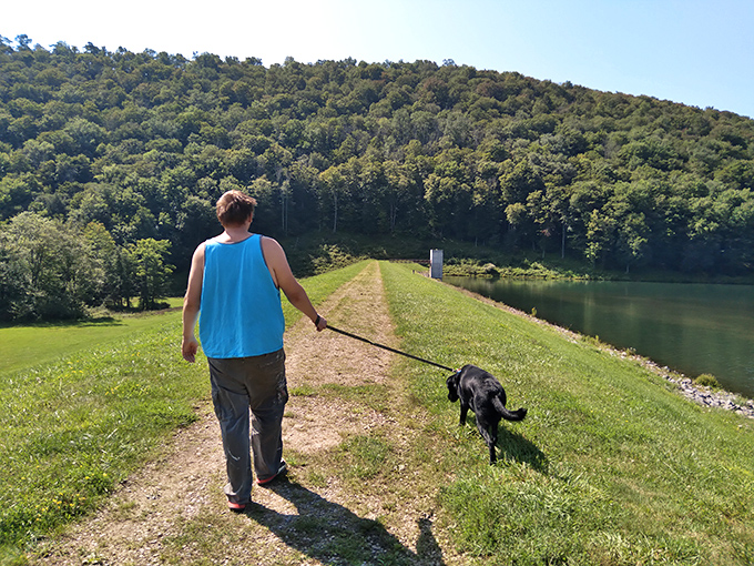 Lakeside serenity that soothes the urban-weary soul. The gentle lapping of water against the shore creates nature's perfect meditation soundtrack.