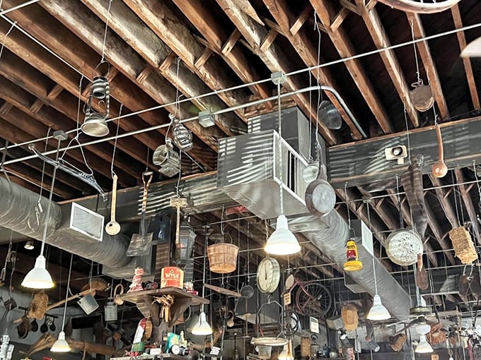 The ceiling at Big Ed's isn't just decoration—it's a museum of Southern rural life, with everything from coffee tins to farm implements creating a one-of-a-kind dining backdrop.