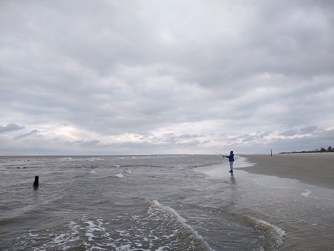 The original fish delivery service. Where the waves meet the shore becomes nature's most scenic fishing spot—no boat required, just patience and a good cast.