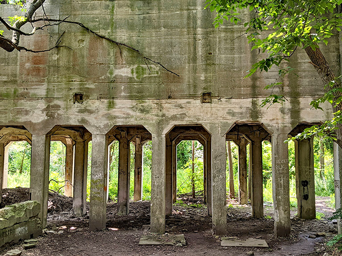 Industrial ruins reclaimed by nature—concrete poetry telling stories of the island's limestone legacy. History you can touch.