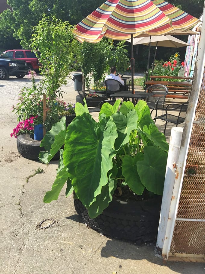 The outdoor garden oasis makes waiting for your order feel like a mini-vacation. Those elephant ear plants aren't just decoration—they're nature's way of blessing this spot.