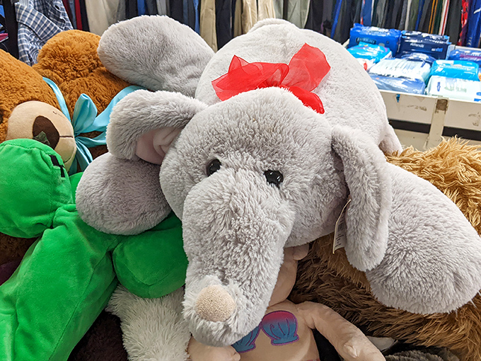 Stuffed animals seeking forever homes. This elephant with its jaunty red bow has plenty of cuddles left to give. 