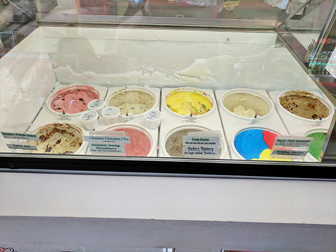 A display case of possibilities—each flavor a different journey, each scoop a different story waiting to be told.