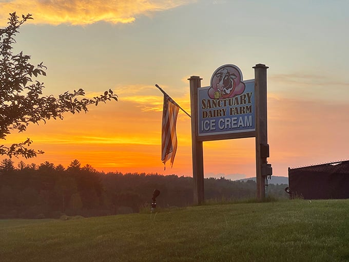 A sunset worthy of framing meets a sign worthy of following. Some landmarks guide you to historical sites—the best ones guide you to exceptional desserts.