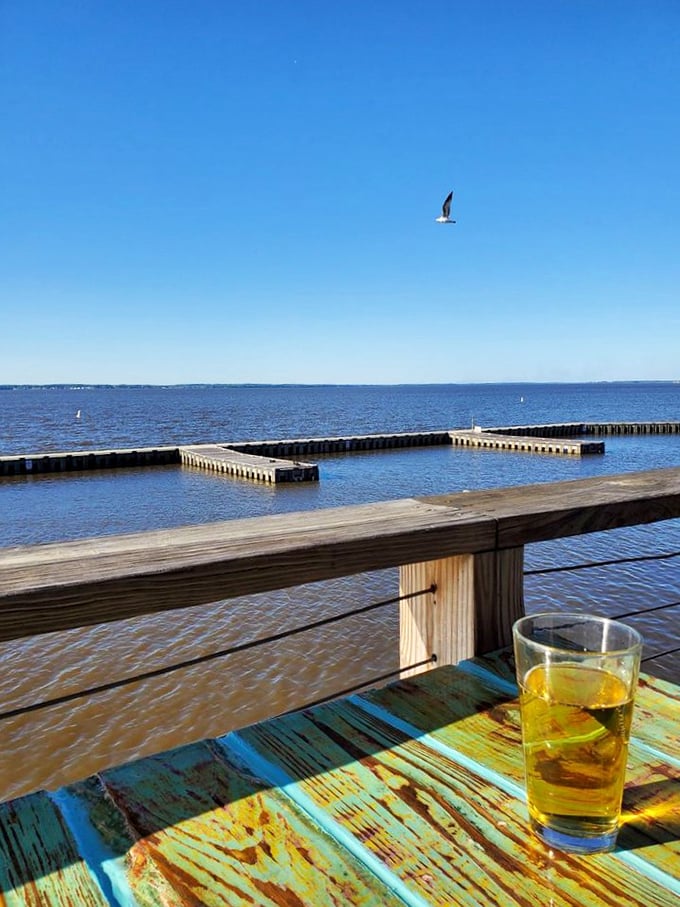 A cold drink, an endless horizon, and a seagull playing wingman. Some views don't just feed your eyes—they nourish your soul.