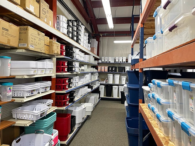 The container aisle – where "getting your life together" starts at $3.99 and comes in every color of the organizational rainbow.
