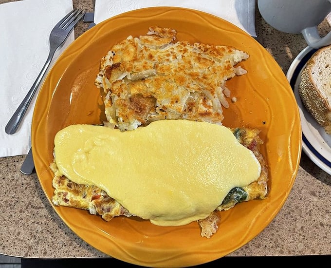 An omelette wearing a cheese blanket is comfort food engineering at its finest. The hash browns' crispy edges deserve their own fan club.