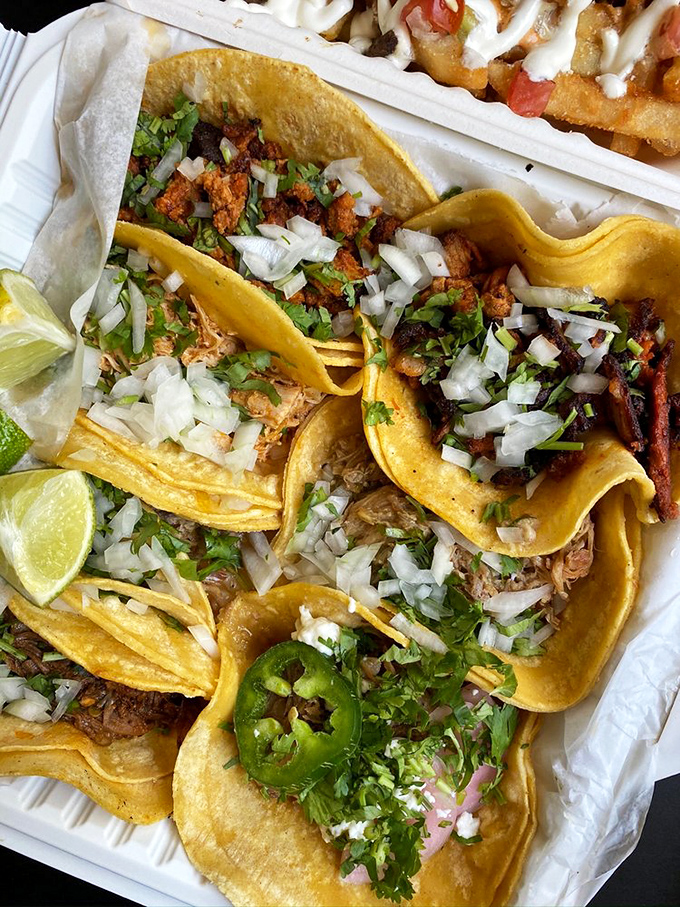 These aren't just tacos – they're tiny flavor festivals where cilantro, onion, and perfectly seasoned meats throw the party of the year. 