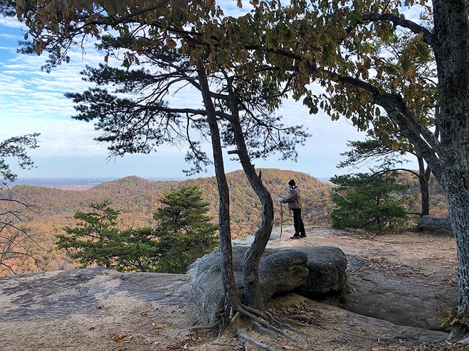 Social security stretches further when million-dollar views like this are free. Just you, the horizon, and absolutely zero admission fee.