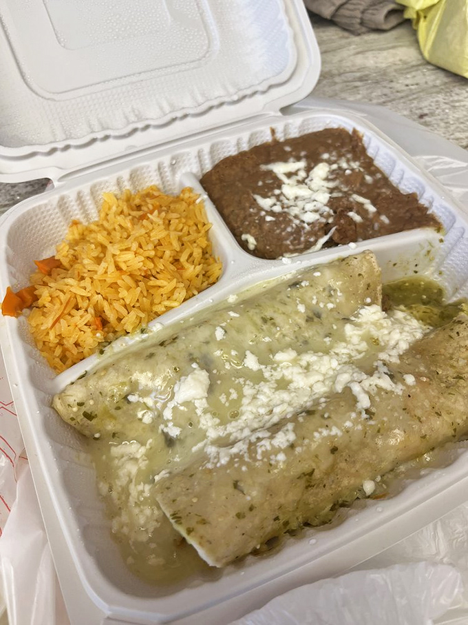 This takeout container doesn't just hold food—it cradles dreams. That green sauce is doing things that should probably require some kind of license.