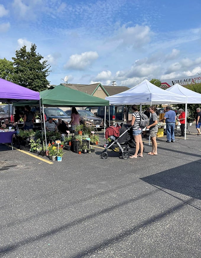 The farmers market showcases local produce and crafts while providing the town's best people-watching opportunity. Fresh vegetables and fresher gossip—what more could you want?