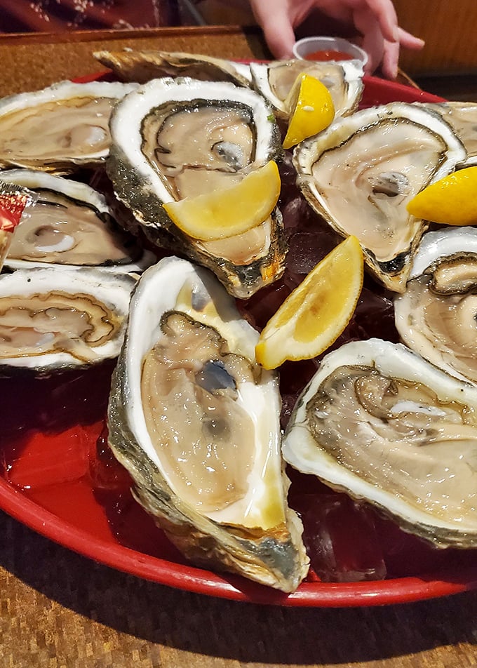 Fresh oysters on the half shell – nature's perfect appetizer, requiring nothing more than a squeeze of lemon and a moment of appreciation.