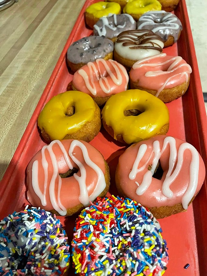 A colorful lineup of frosted masterpieces. It's like the Olympic team of donuts, and they're all going for gold. 