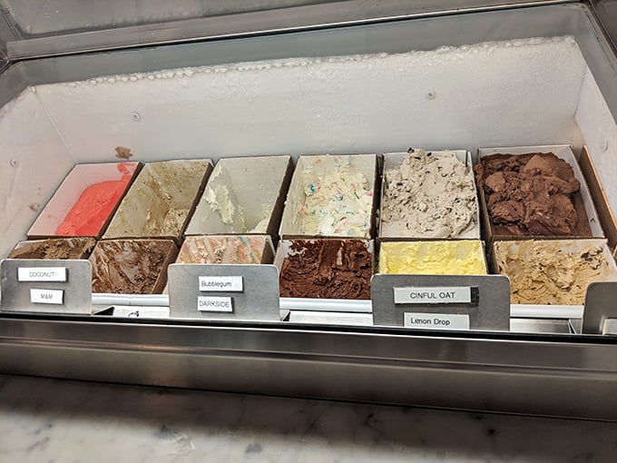 The display case—where ice cream dreams are born and difficult decisions are made with delicious consequences.