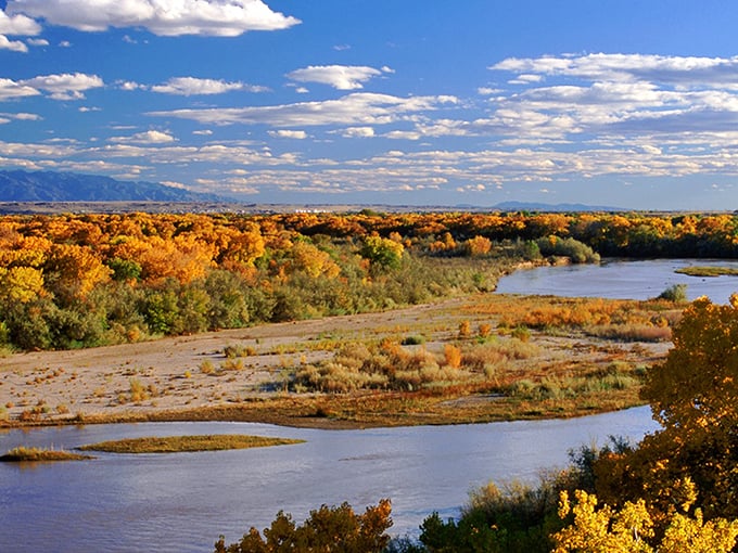 The Gila River in autumn becomes a ribbon of blue winding through golden cottonwoods, creating a scene worthy of Georgia O'Keeffe's paintbrush.