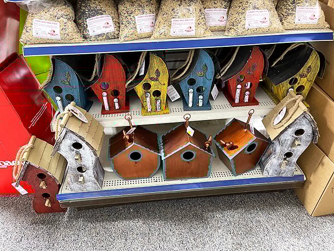 Birdhouse boulevard – where feathered neighbors shop for real estate in styles ranging from rustic cabin to whimsical cottage.