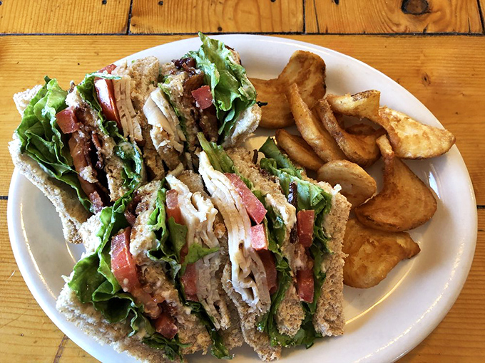 A club sandwich that requires jaw exercises before attempting. Layered like geological strata of deliciousness with fries that refuse to be upstaged.