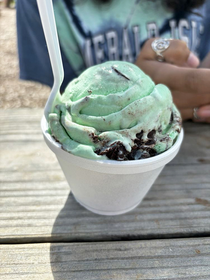 Mint ice cream with chocolate chunks—nature's perfect cooling system with surprise treasure buried throughout. Like hiking in the woods and finding chocolate.