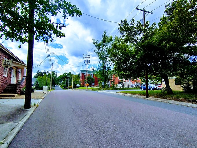 Quiet residential streets invite leisurely strolls where the only traffic you'll encounter is the occasional squirrel crossing.