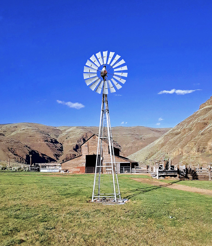 The vintage windmill stands sentinel against canyon walls, a reminder of when wind power wasn't just trendy—it was essential.
