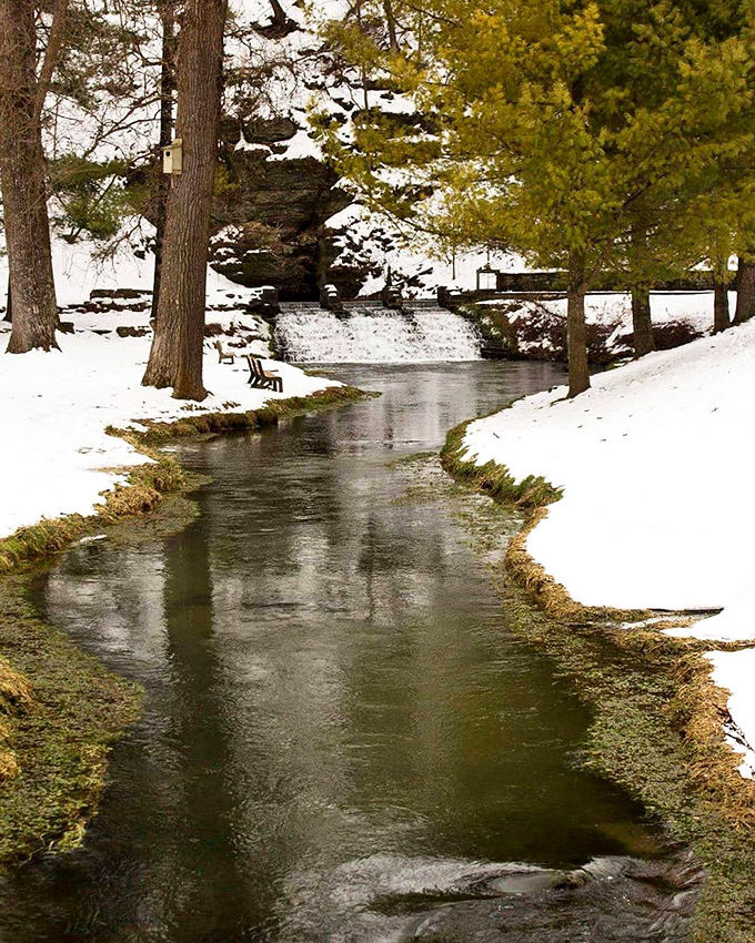 Winter in Decorah isn't just a season—it's an art installation where ice transforms ordinary streams into contemplative galleries of crystalline beauty.