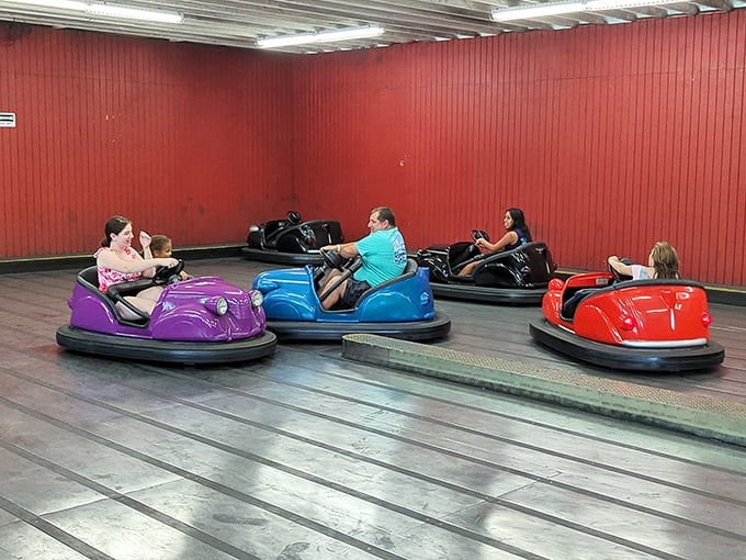 Bumper cars offer that rare opportunity to deliberately crash into strangers without exchanging insurance information—therapeutic chaos at its finest.