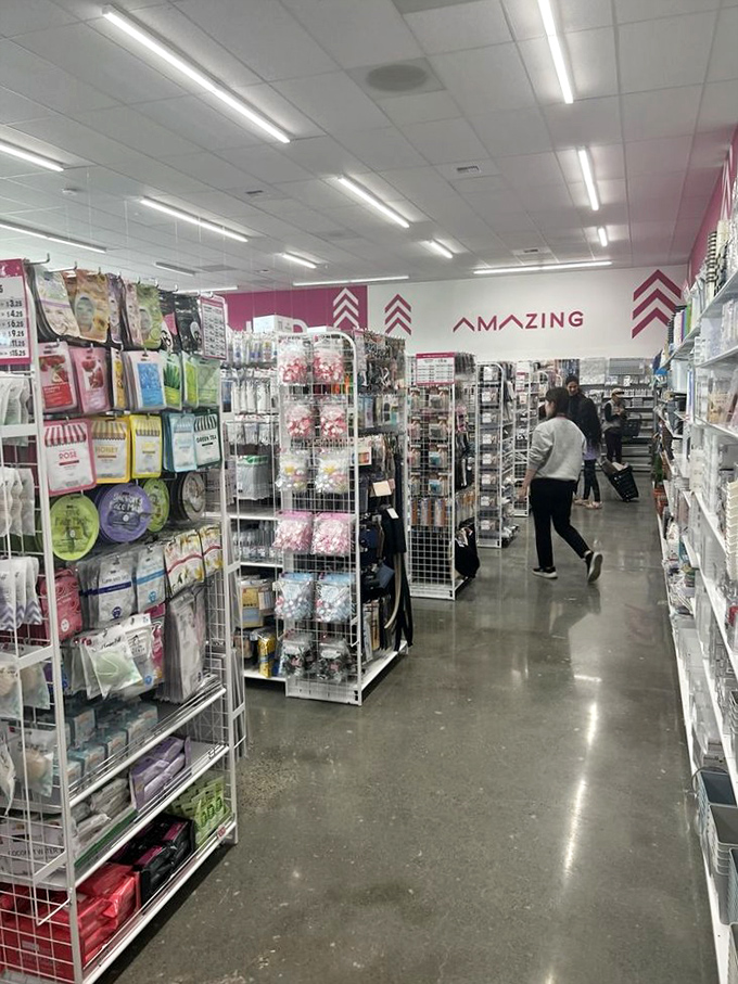 The store's clean, bright interior makes browsing a pleasure rather than a chore—unlike that cluttered garage you've been meaning to organize.