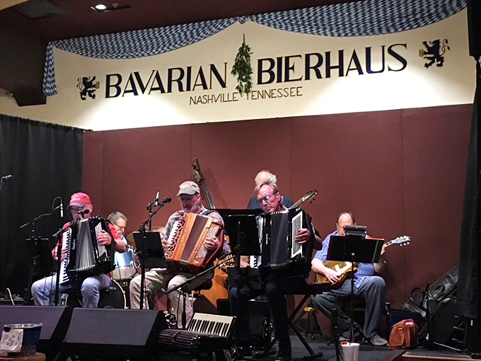 Traditional German musicians transform dinner into an experience, proving accordions aren't just for polka—they're for creating unforgettable meals.