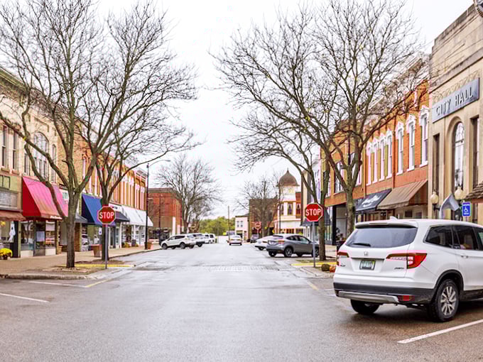 Allegan's tree-lined streets and historic buildings create a scene Norman Rockwell would have painted, if Norman had discovered Michigan's charms. Small-town America at its finest.