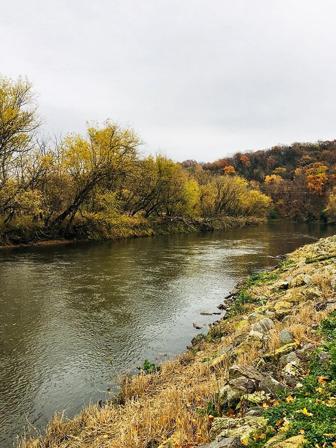 The Upper Iowa River in autumn doesn't just change colors—it throws a full-spectrum celebration that puts ordinary fall foliage to shame.