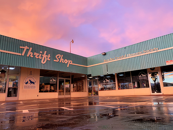 Even at sunset, that turquoise building glows with possibility. The parking lot empties, but tomorrow brings new treasures and new chances to save lives. 